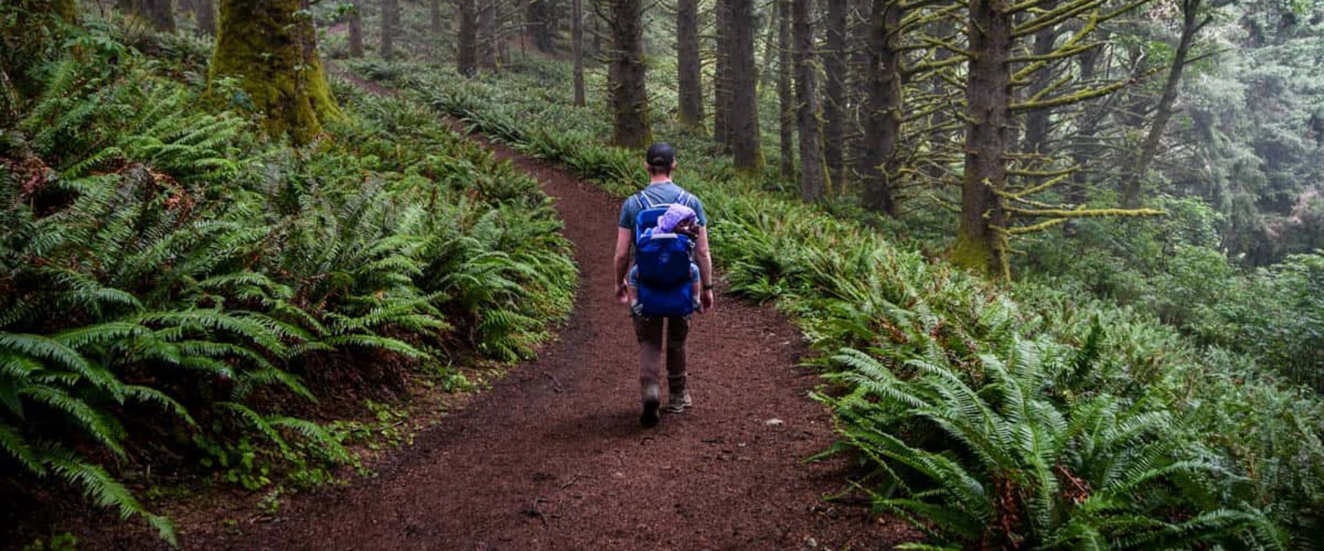 Discovering the Natural Wonders: Must-Visit Hiking Trails in Western Oregon